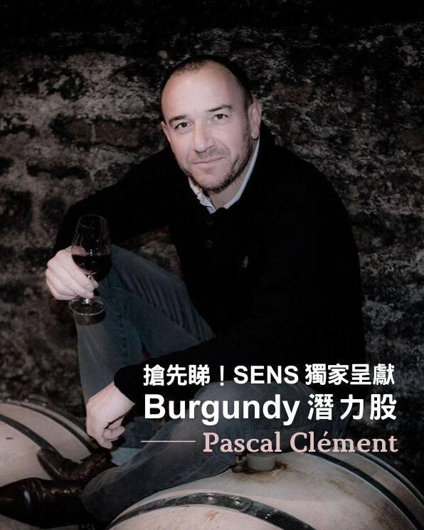 【Sens 獨家呈獻】 Burgundy潛力股 Pascal Clement - SENS